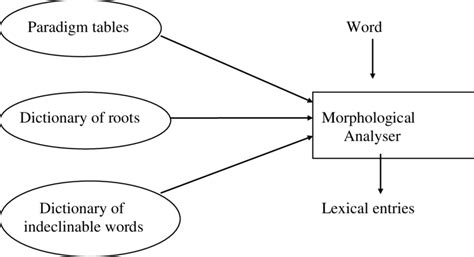 Figure Morphological Analyser Download Scientific Diagram