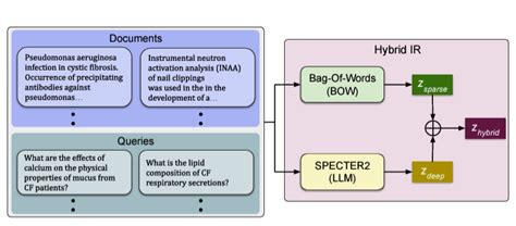 Advances In Ai For Medical Image Segmentation Follow Up Optimization
