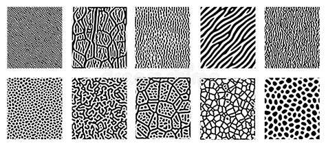 Reactiondiffusion System Visualization Of Turing Patterns Nature