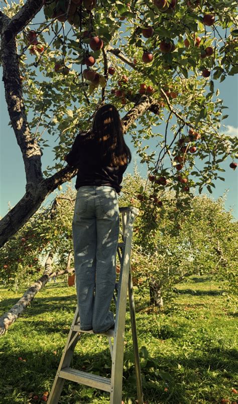 Gallery Isabella Triassi Vsco