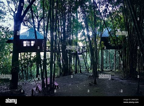 Treehouse Stays Hi Res Stock Photography And Images Alamy