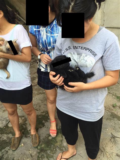 一个突发事件！！！ 知乎