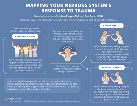 Infographic Nervous System