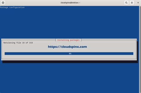 Install Cinnamon Desktop Environment On Debian CloudSpinx
