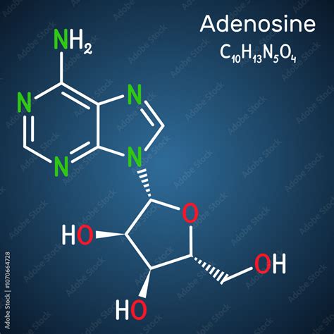 Adenosine Ribonucleoside Molecule Chemical Structure Of Nucleoside Dark Blue Background
