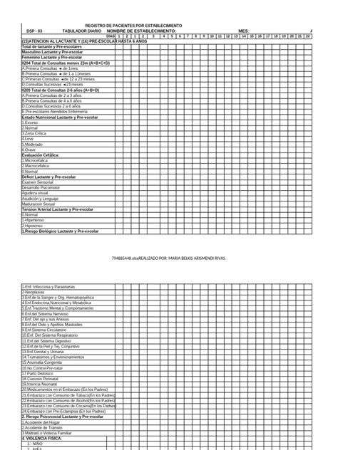 Formatos Dsp 03 Y Dsp 04 Año 2024 Para Imprimir Pdf