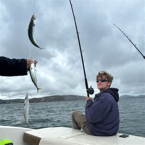 William Brooke Youtube