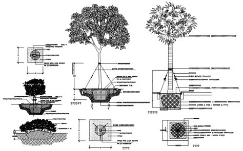 Cad Block Of Landscaping Plant Detail Layout File In Autocad Format Hot Sex Picture