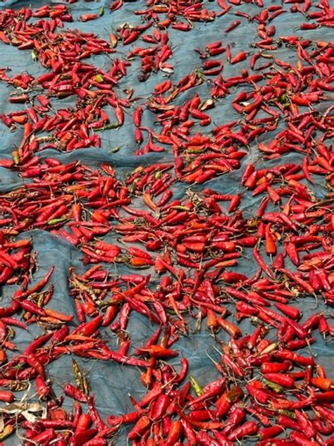 The Reality Behind A Machine Learning Dataset Part 1 Makhana Idinsight