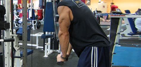 V Bar Pushdown Triceps Exercise Guide With Photos
