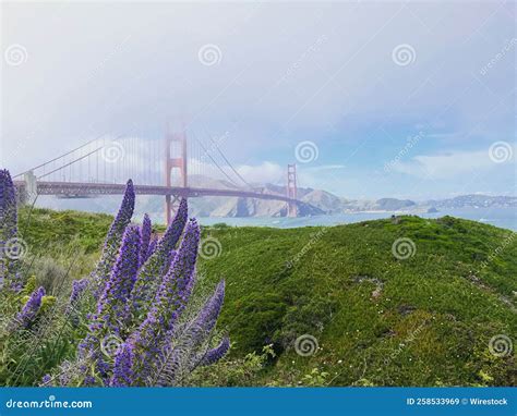 hyper realistic illustration of the golden gate bridge with purple