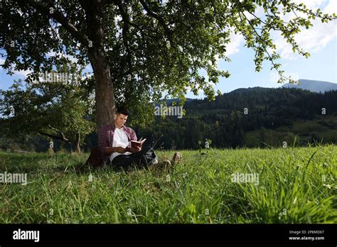 Handsome Man Reading Book Under Tree On Meadow In Mountains Stock Photo Alamy