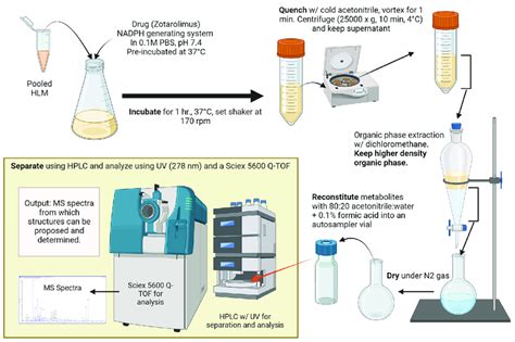 experimental workflow download scientific diagram