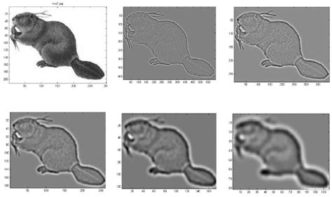 R Cnn、图像特征提取、selective Search、spp Net Cnn学习