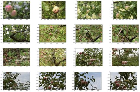 examples of red apples detection color figure online download