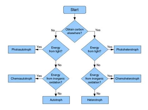 Classification System In Biology Pdf