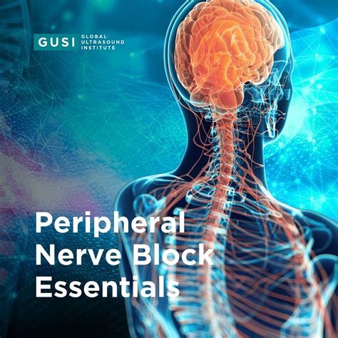 Peripheral Nerve Block Pocus Essentials Global Ultrasound Institute Peripheral Nerve Block Pocus Essentials Global Ultrasound Institute