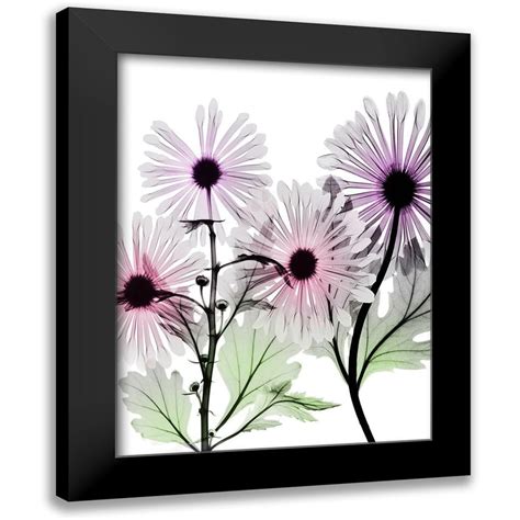 Koetsier Albert 12x14 Black Modern Framed Museum Art Print Titled Vanishing Brilliance 3 Rc