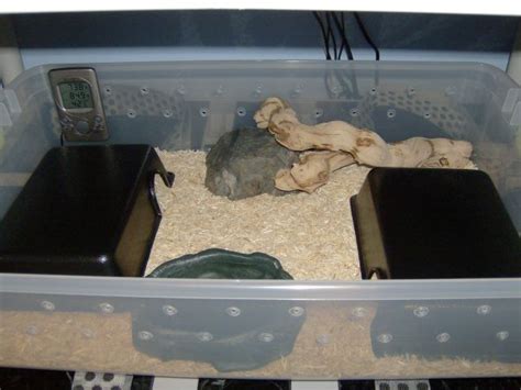 My Plastic Tub Setup For My Ball Python Page 3