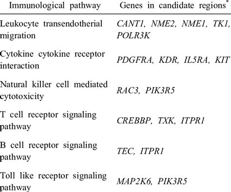 Functional Candidate Genes In The Differentially Selected Regions