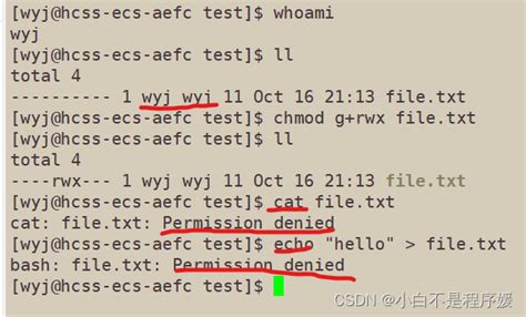 【linux】shell运行原理及权限sh 赋予执行权限 Csdn博客
