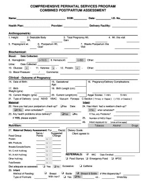 Postpartum Assessment Sheet Fill And Sign Printable Template Online