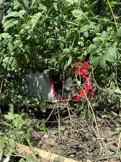 Some Think This Is How To Have Fun Page 2 Polaris Atv Forum