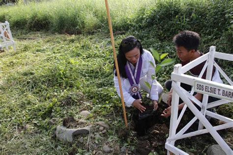 DepEd Palawan Kicks Off Tree Planting Initiative In Narra