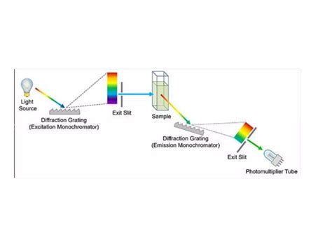 Uv Spectroscopy Pptpptx