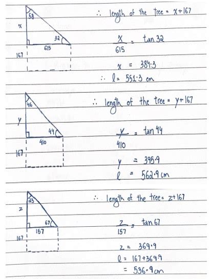 trigonometry tree height solution schoolworkhelper