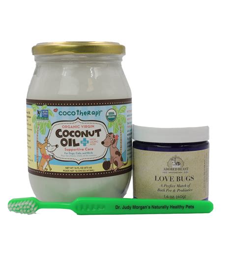 Diy Love Bugs Toothpaste Dr Judy Morgans Naturally Healthy Pets