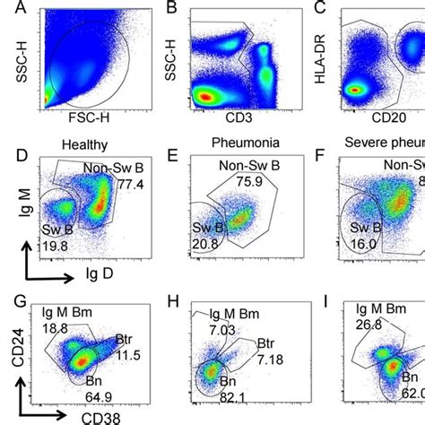 Gating Strategy For The Identification Of The Indicated B Cell Subsets Download Scientific