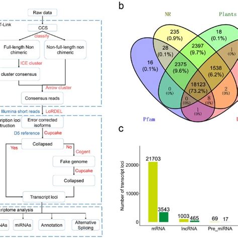 Pdf Reconstruction Of The Full Length Transcriptome Atlas Using