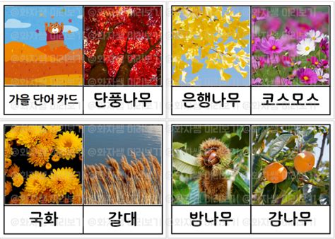 가을 언어 가을 단어 카드 네이버 블로그
