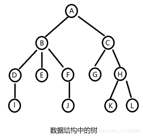 java数据结构与算法之树 双亲节点和父节点有什么区别 csdn博客