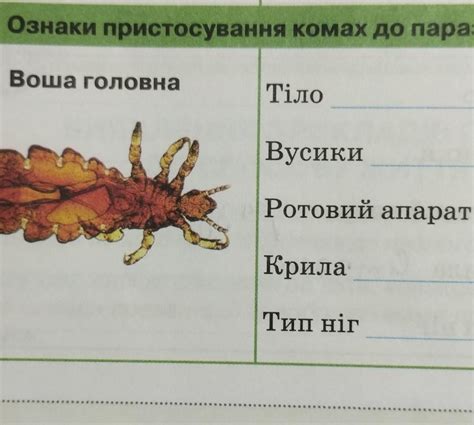 СРОЧНО БІОЛОГІЯ 7 КЛАС ДАЮ 50 БАЛІВ Школьные Знания Com