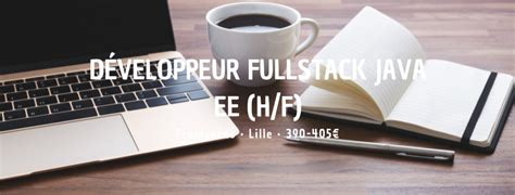 Développeur Fullstack Java Ee Hf Insitoo Lille Mission