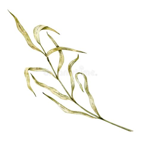 Rustic Wedding Greenery Dried Leaves Bleached Grass Autumn Herbal