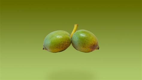 on a posé des questions à un spécialiste de la remontée testiculaire