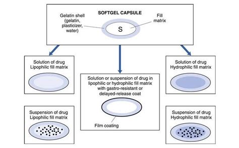 Rotary Die Process Soft Gelatin Capsules The Ultimate Guide Saintytec