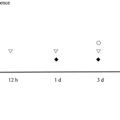 Schematic Of The Experimental Design Auditory Brainstem Response Abr