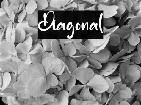 Diagonal Font Free Download Ttfotf