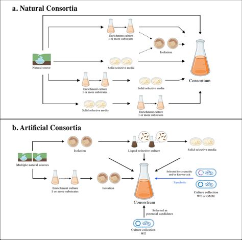 categories of microbial consortia based on their origin and the methods