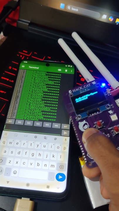 🚨hackcat Serial Terminal Bluetooth Spamming Cybersecurity Iot Esp32 🚨hackcat Serial Terminal Bluetooth Spamming Cybersecurity Iot Esp32