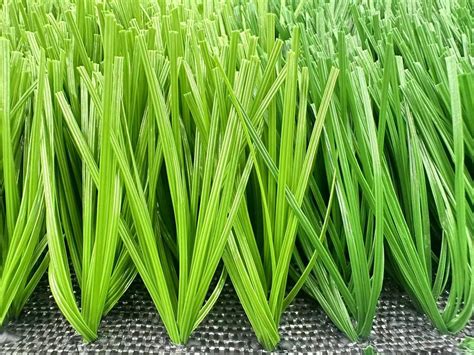 Football Grass Football Grass Supplier Fortune