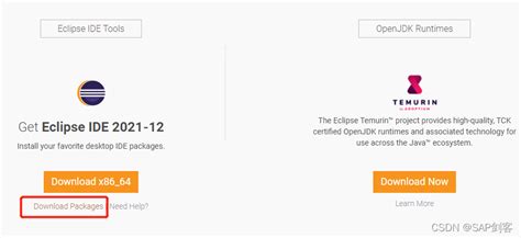 sap fiori开发工具——eclipse环境搭建 abap fiori开发工具 csdn博客