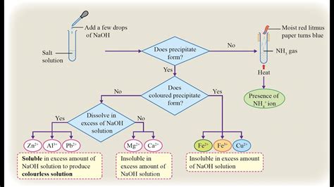 Chemistry Kssm Form 4 Chapter 6 Cation And Anion Test Youtube