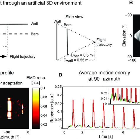 Impact Of Motion Adaptation On Spatial Vision For Semi Natural Flight