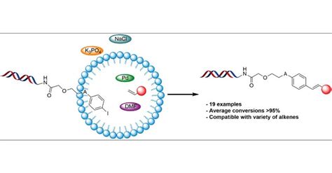 Stefano Tomassi Ph D On Linkedin Development Of A Micellar Promoted Heck Reaction For The