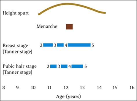 Adolescent Gynaecology Obgyn Key
